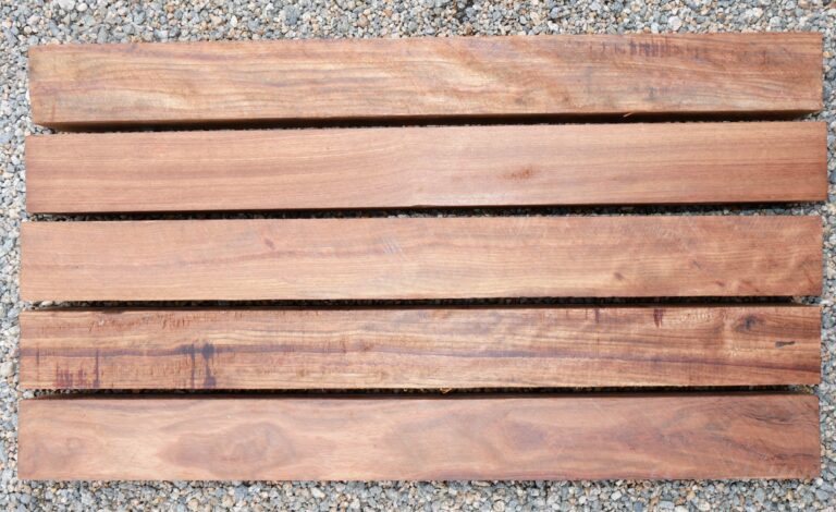 Chechen “Metopium brownei” – Kantel - Drechselshop Kramer e.U.